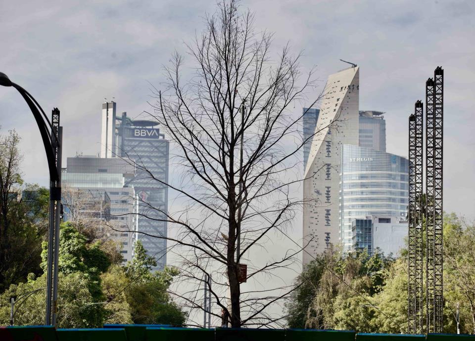 Ahuehuete: la nueva cara de reforma