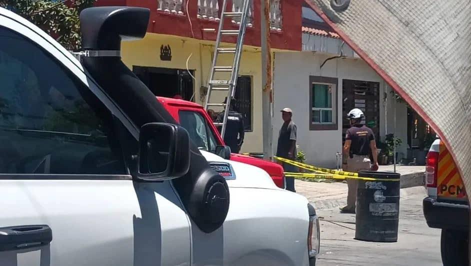 Caen cables de la CFE y matan a gatito